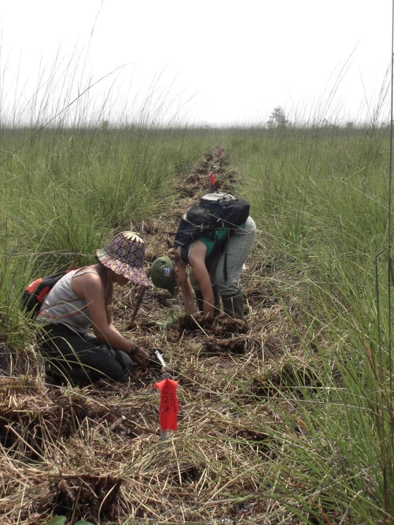 planting - Borneo Nature Foundation