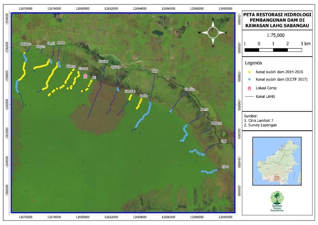 A record breaking year: 150 dams built in the Sebangau National Park ...