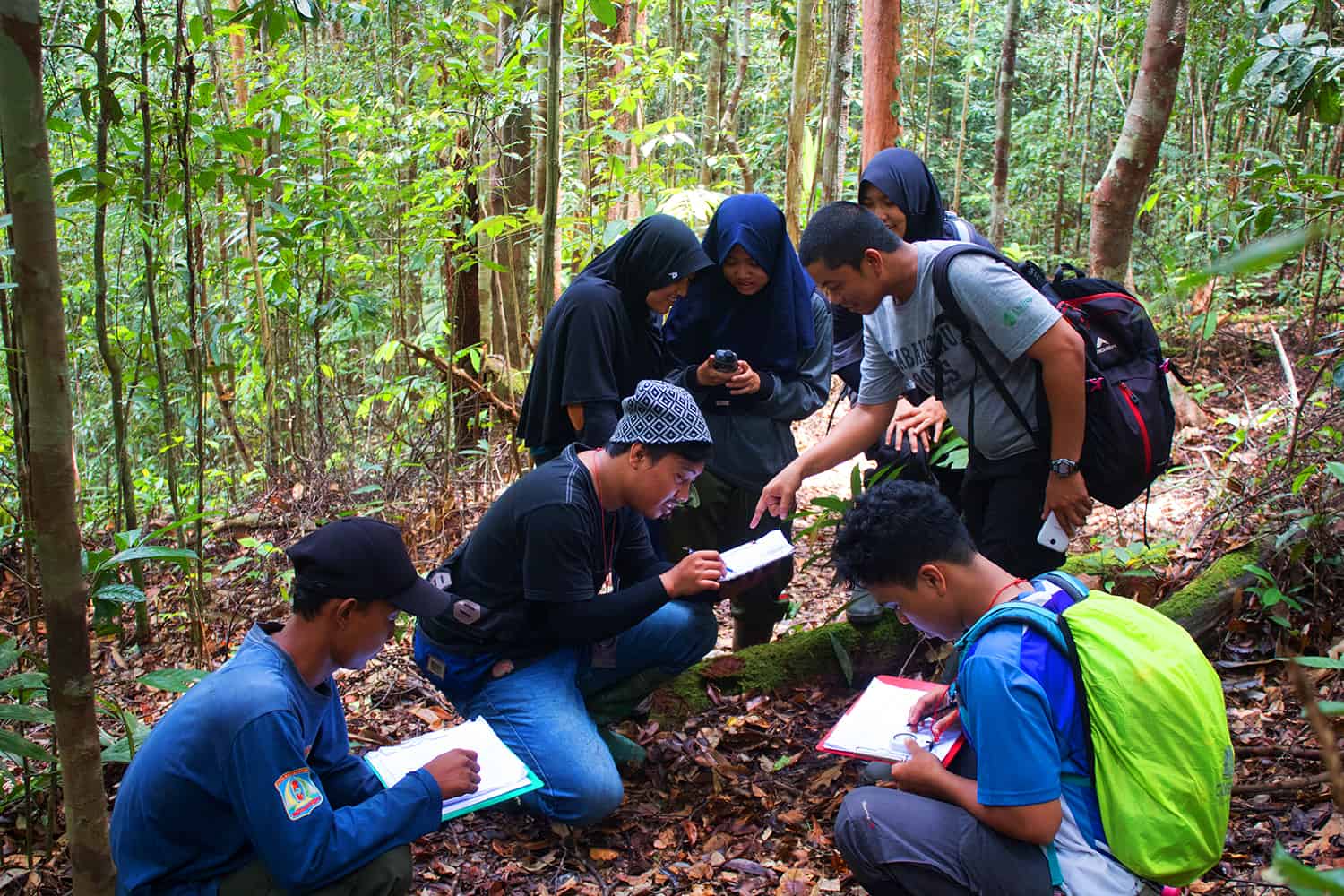 Flying to the east coast of Borneo: BNF’s primate scientist shares her ...