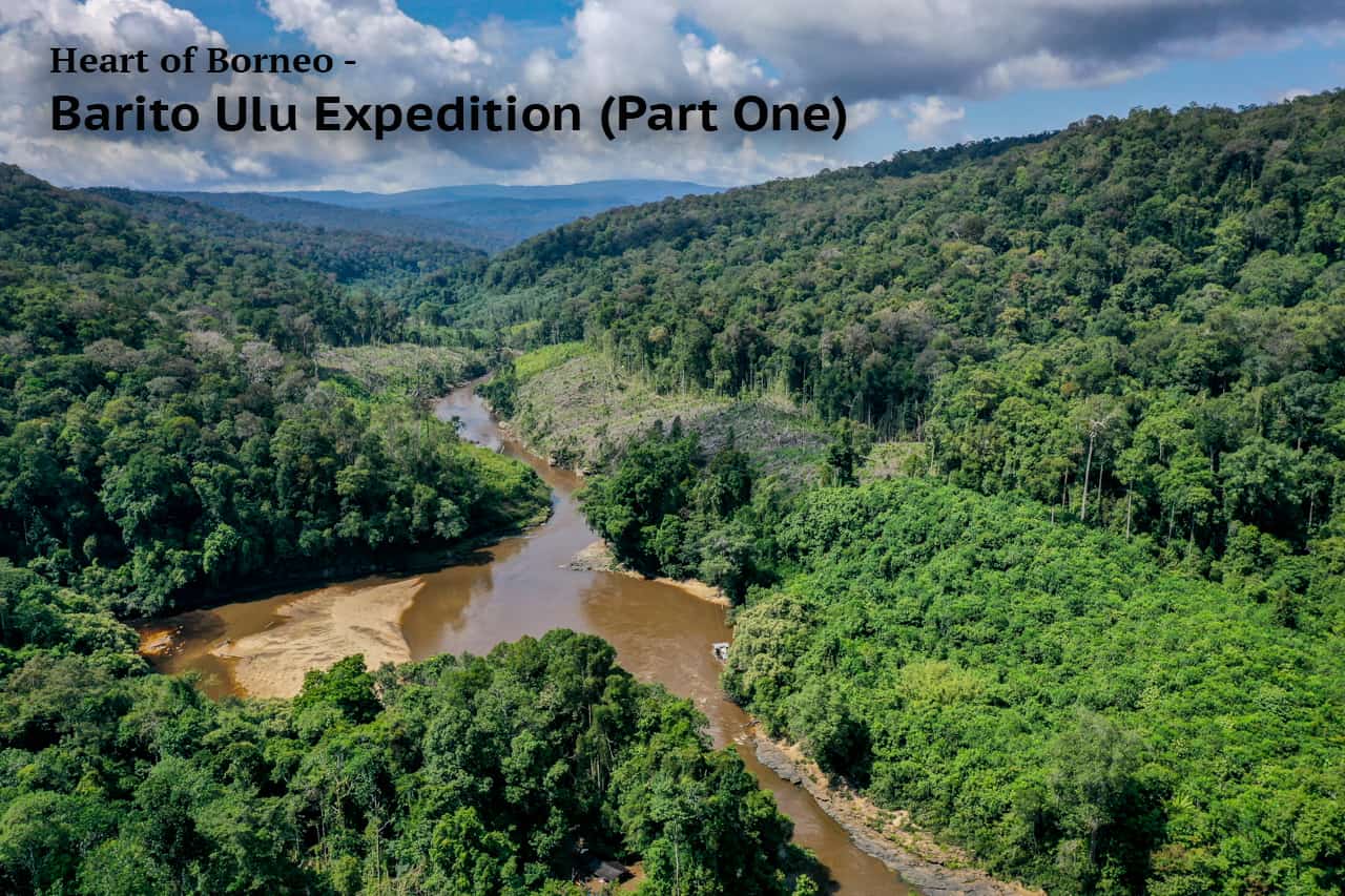 default - Borneo Nature Foundation