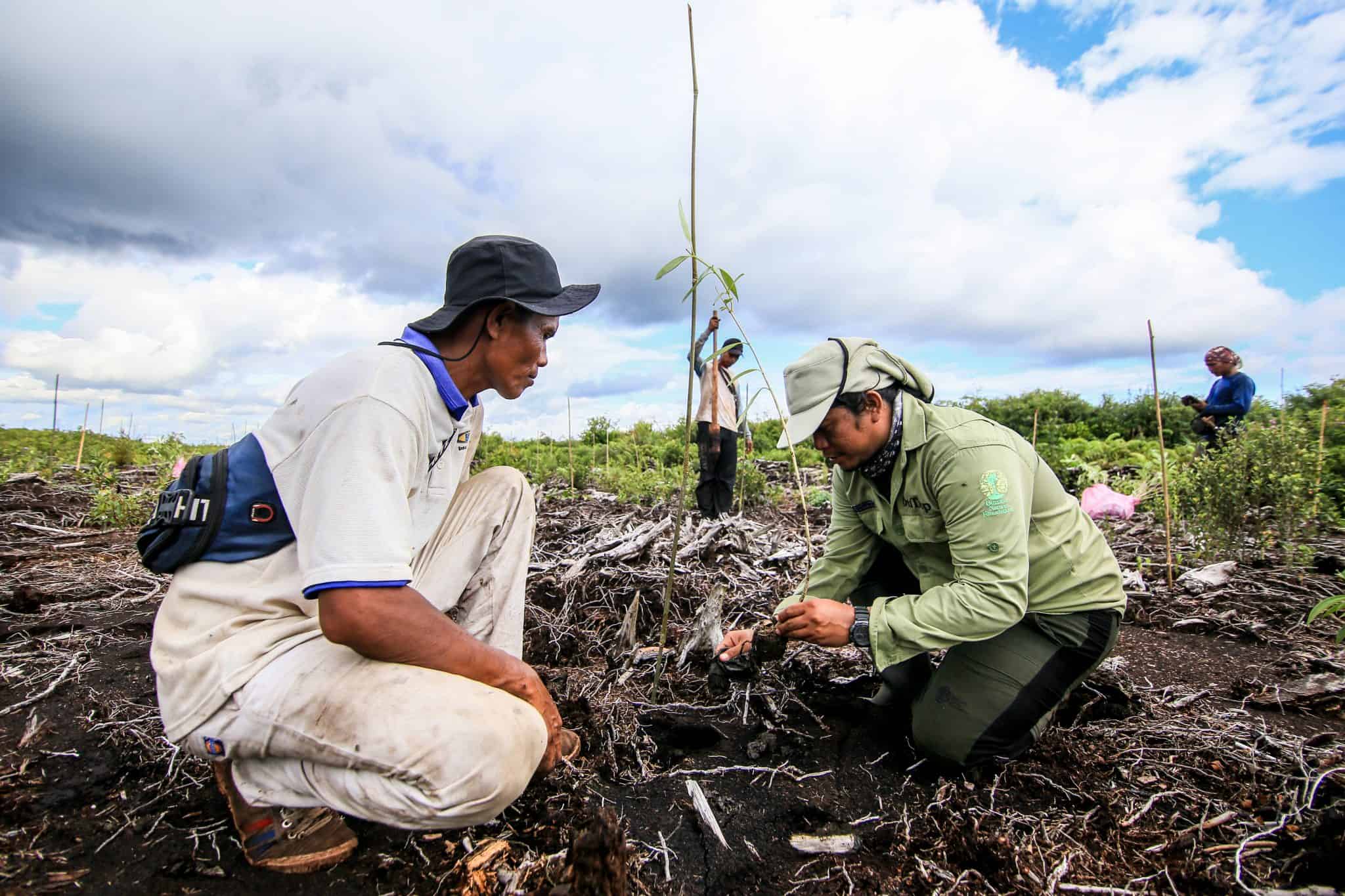 Restoring Ecosystems with Native Plants - Borneo Nature Foundation