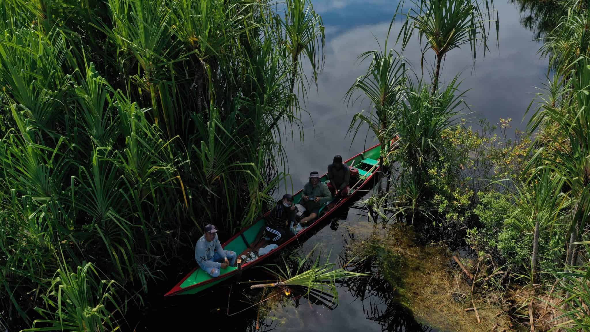 default - Borneo Nature Foundation