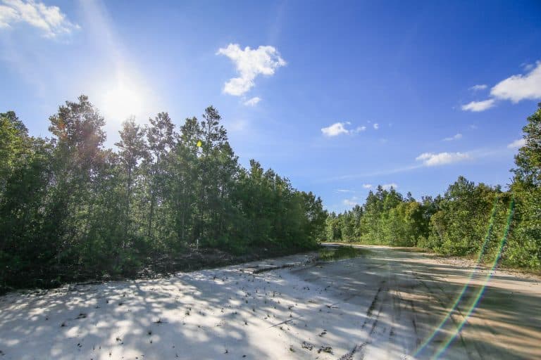 Heath Forest - Borneo Nature Foundation